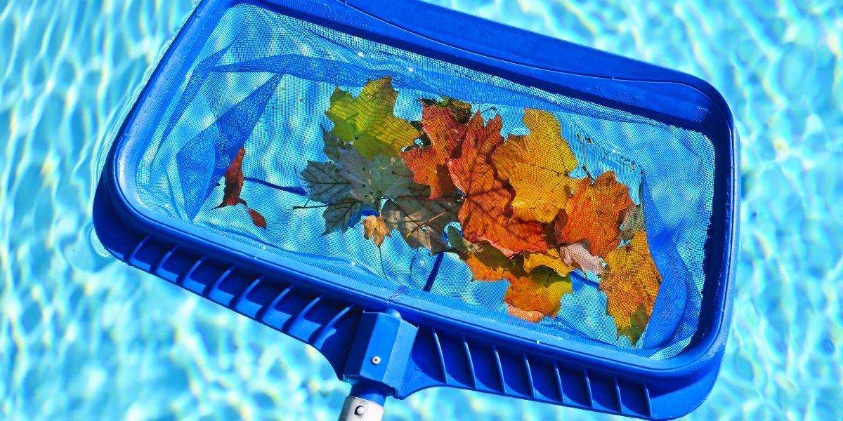 Dealing With Leaves In Your Swimming Pool - LinerWorld